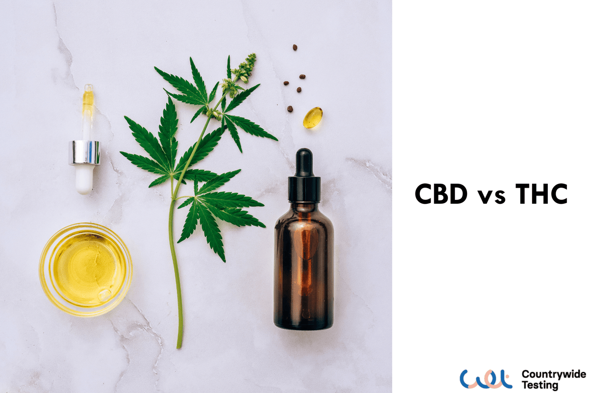 CBD vs THC: Comparing Effects, Benefits, and Risks