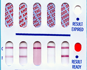 Blood & Urine Drug Test Detection Time Frames